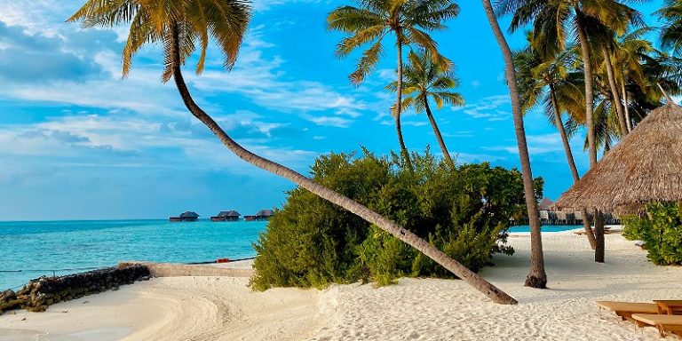 Mauritius vs The Maldives: Where To Go? - Blue Bay Travel Blog