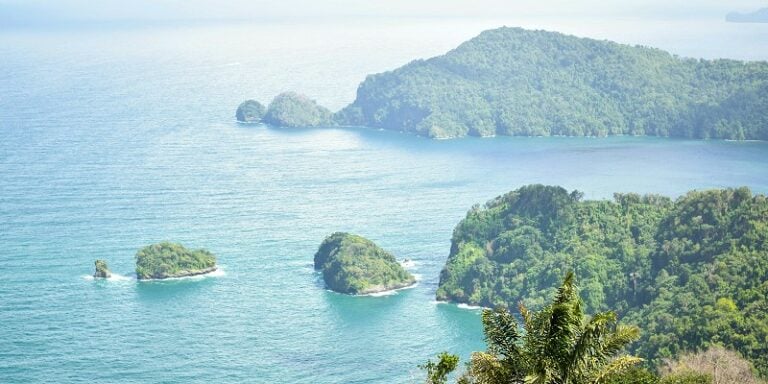 7 Breathtaking Nature Spots in Tobago: A Guide for Nature Lovers
